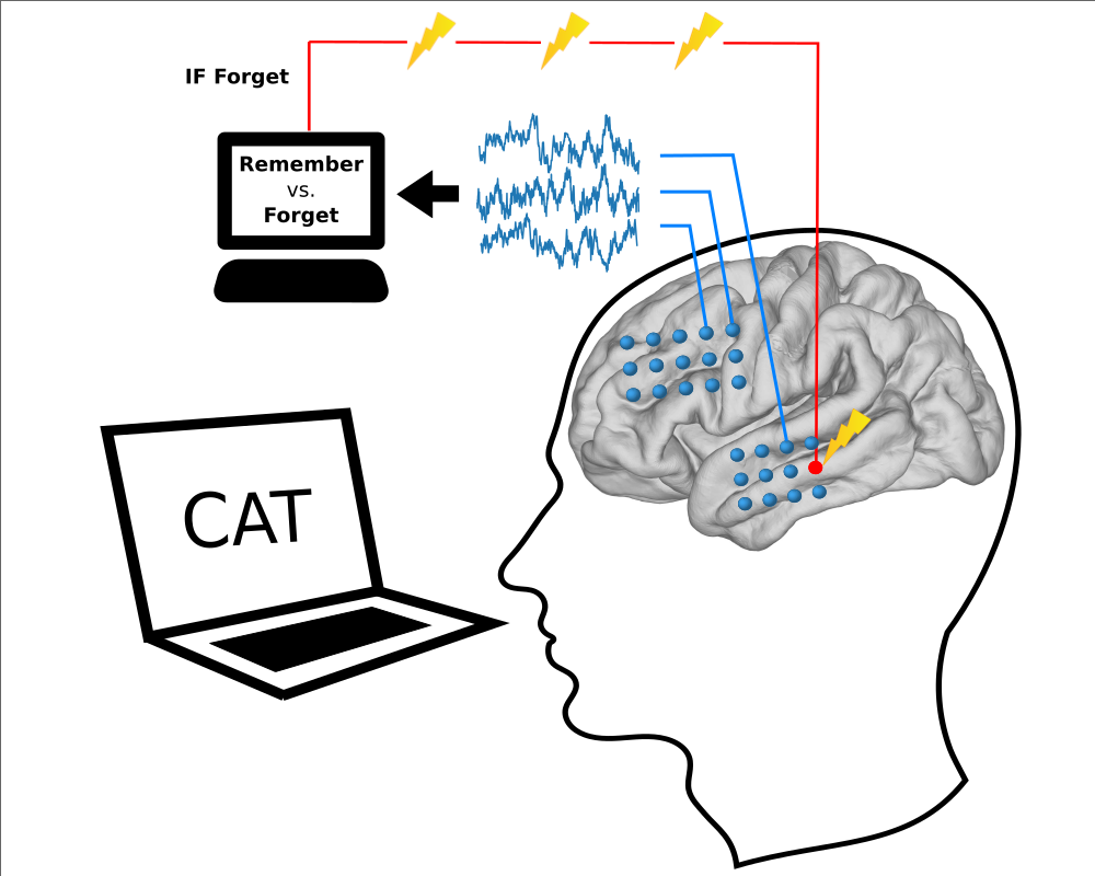 Computational Memory Lab